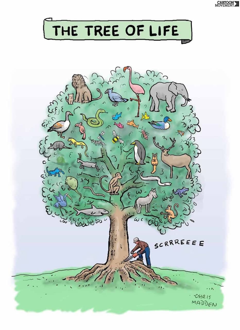 עץ החיים - Nziv.net