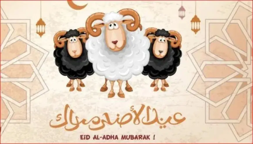 על המספרים שמאחורי החג’ - Nziv.net