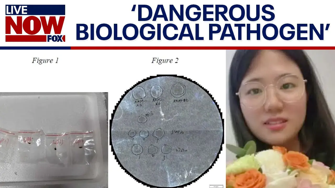 ראש ה-FBI האמריקני: 2 אזרחים סינים הבריחו לארה"ב פתוגן ביולוגי מסוכן - "נשק אגרו-טרוריסטי ...