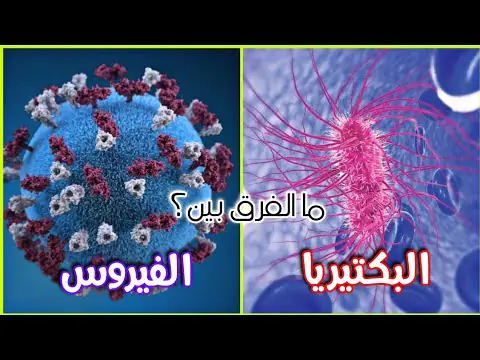דגימות DNA חושפות נוכחות של מגפה לפני 5,500 שנה - Nziv.net